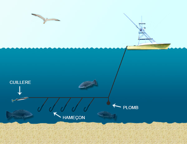 Pêche à la ligne | HOOKLINE – Treuil électrique pour la pêche en mer